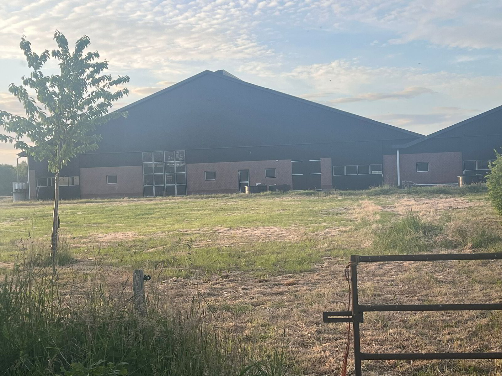 Complete barns for 140 dairy cows