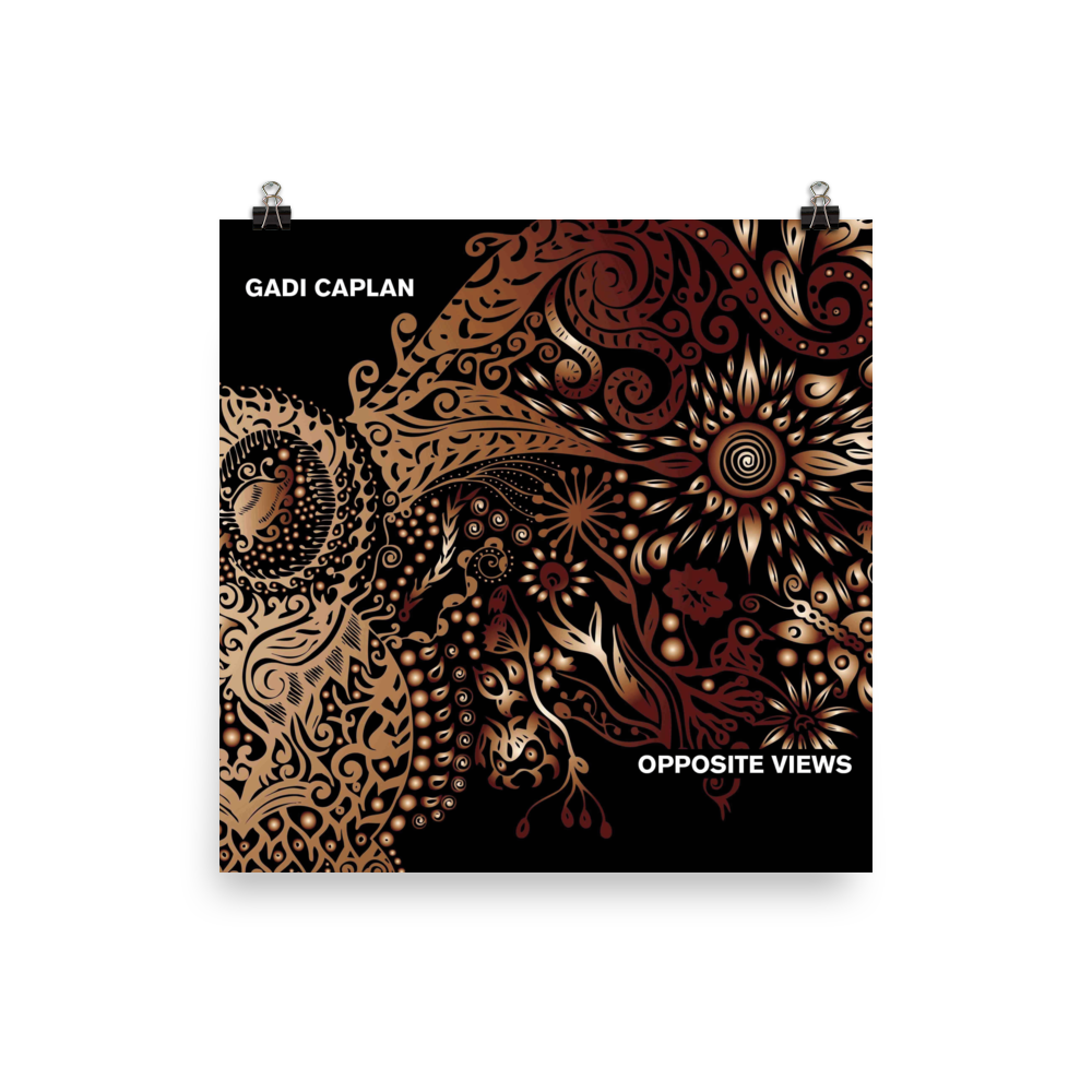 Opposite Views poster