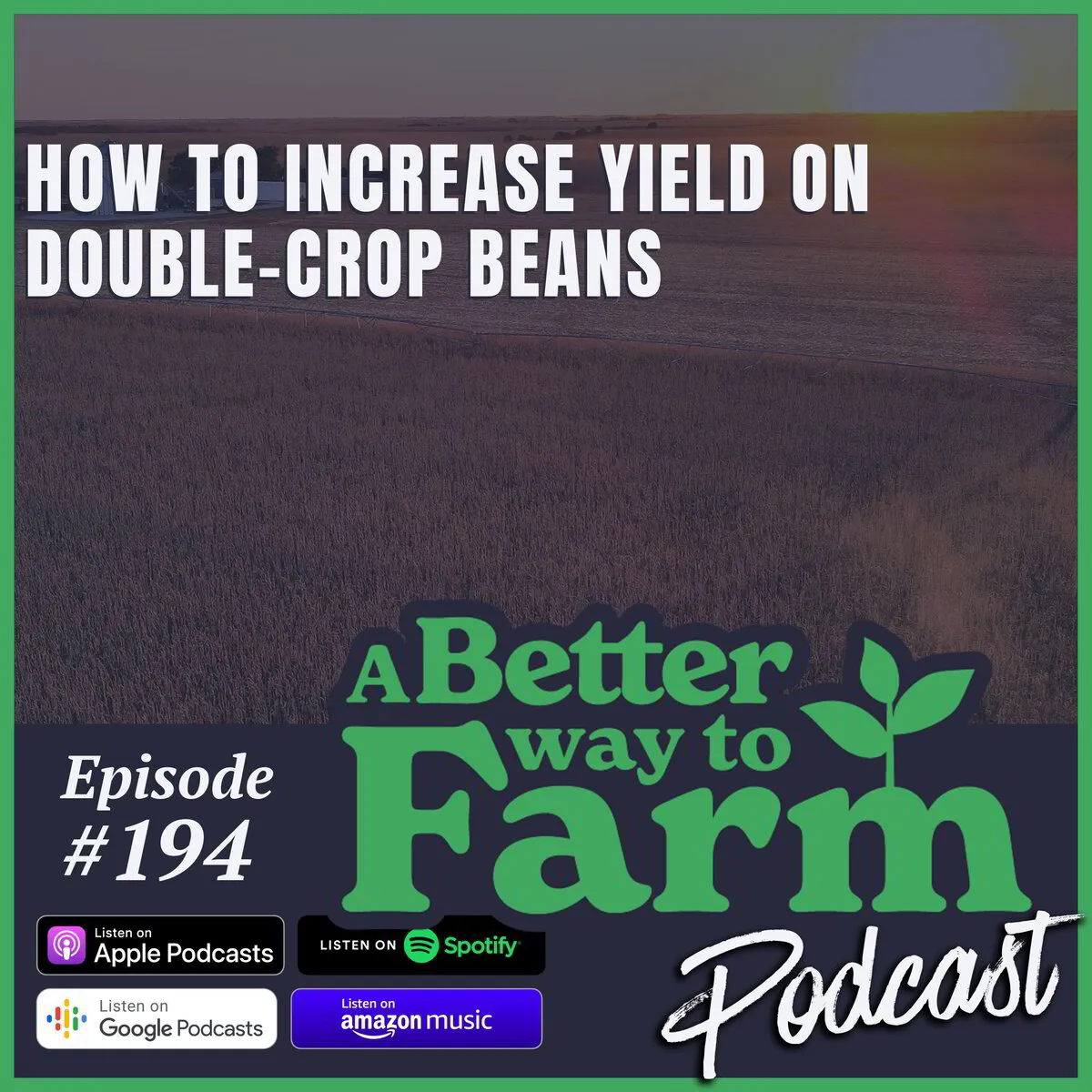 194: How To Increase Yield On Double-Crop Beans