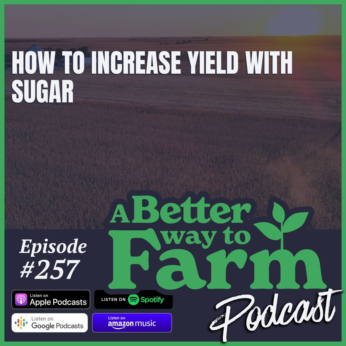 257: How To Increase Yield with Sugar