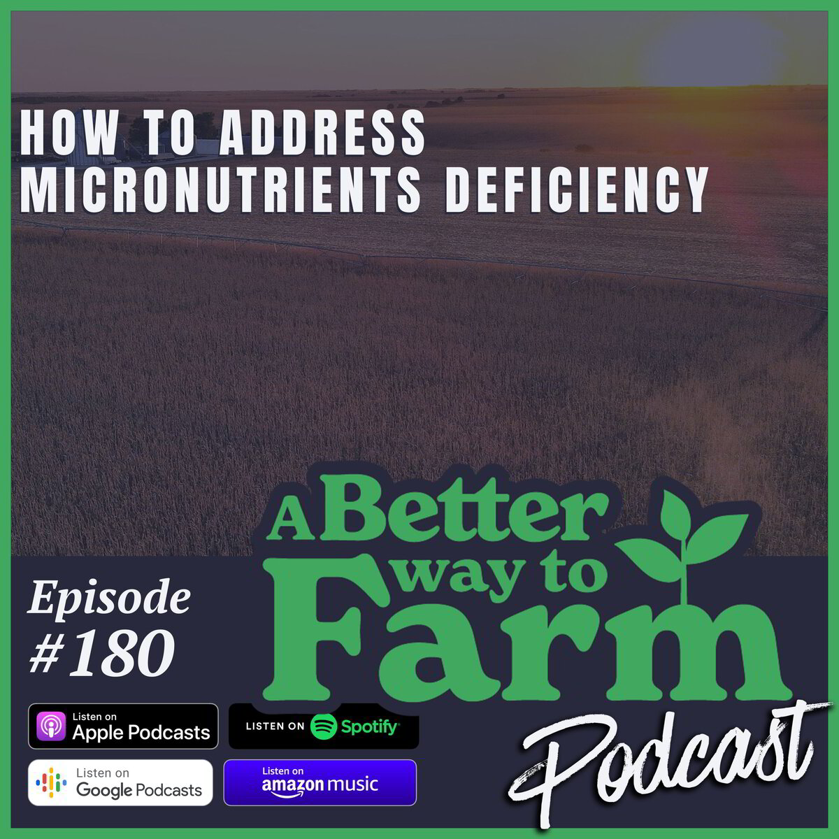 180: How To Address Micronutrients Deficiency