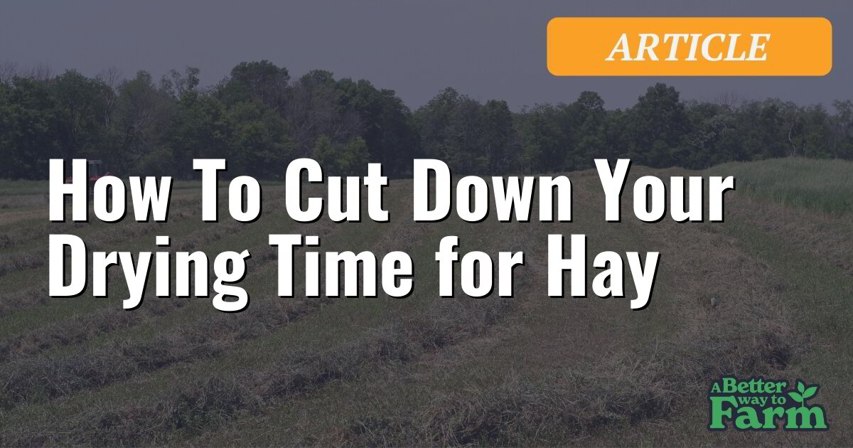 How To Cut Down Your Drying Time for Hay