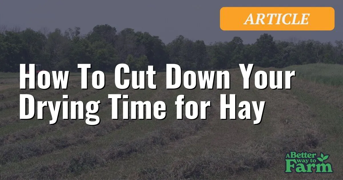How To Cut Down Your Drying Time for Hay
