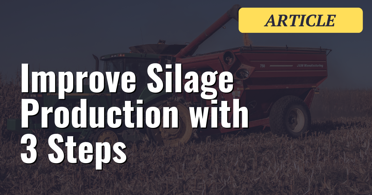 Improve Silage Production in 3 Steps