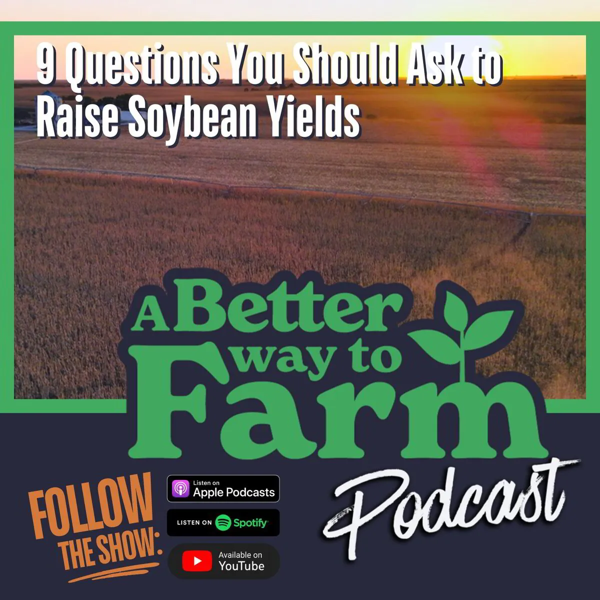302: 9 Questions You Should Ask to Raise Soybean Yields
