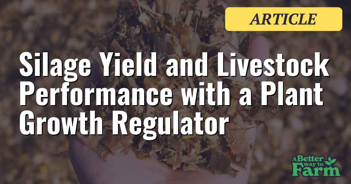 Enhancing Corn Silage Yield and Livestock Performance with The Use of A ...