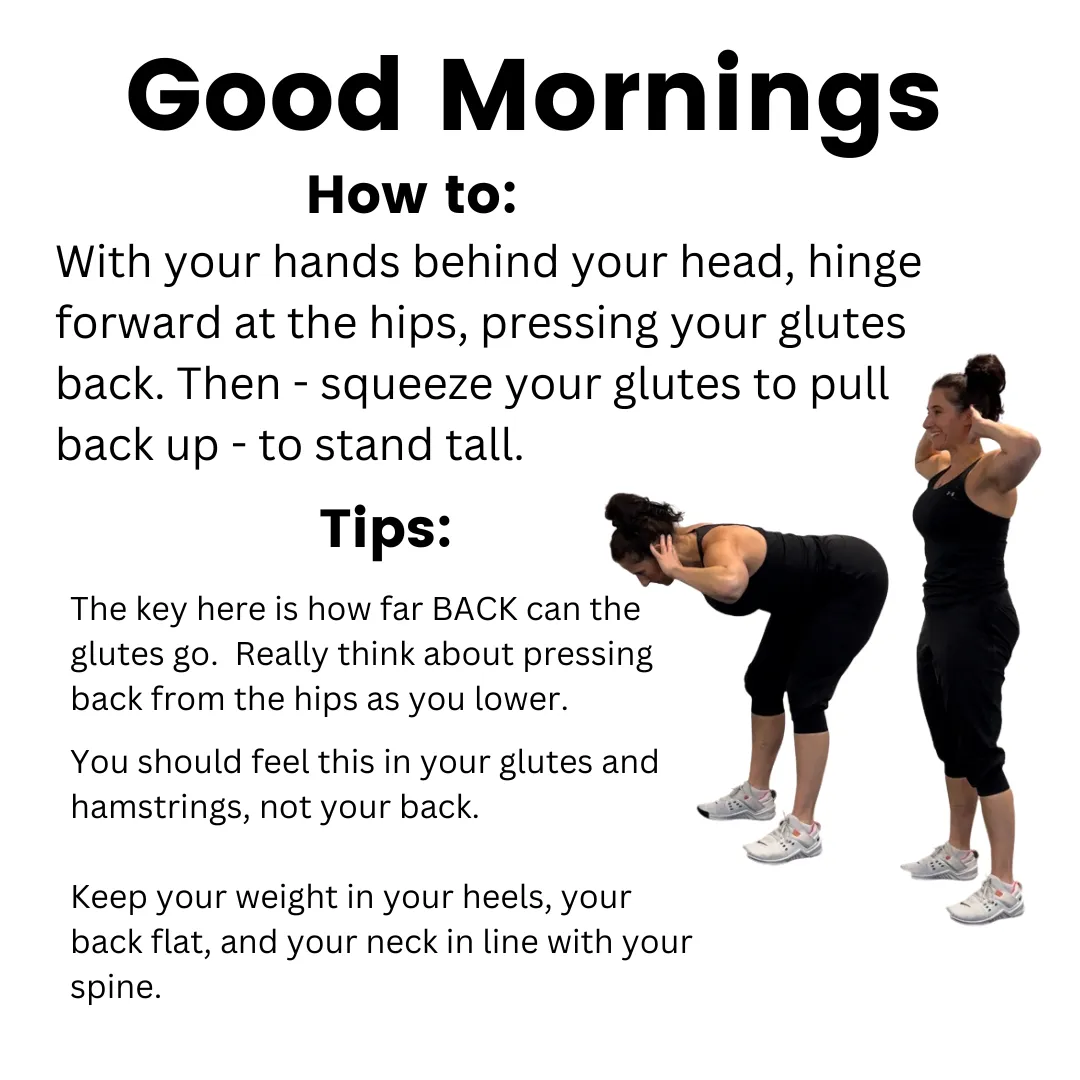 Good Mornings For Glutes