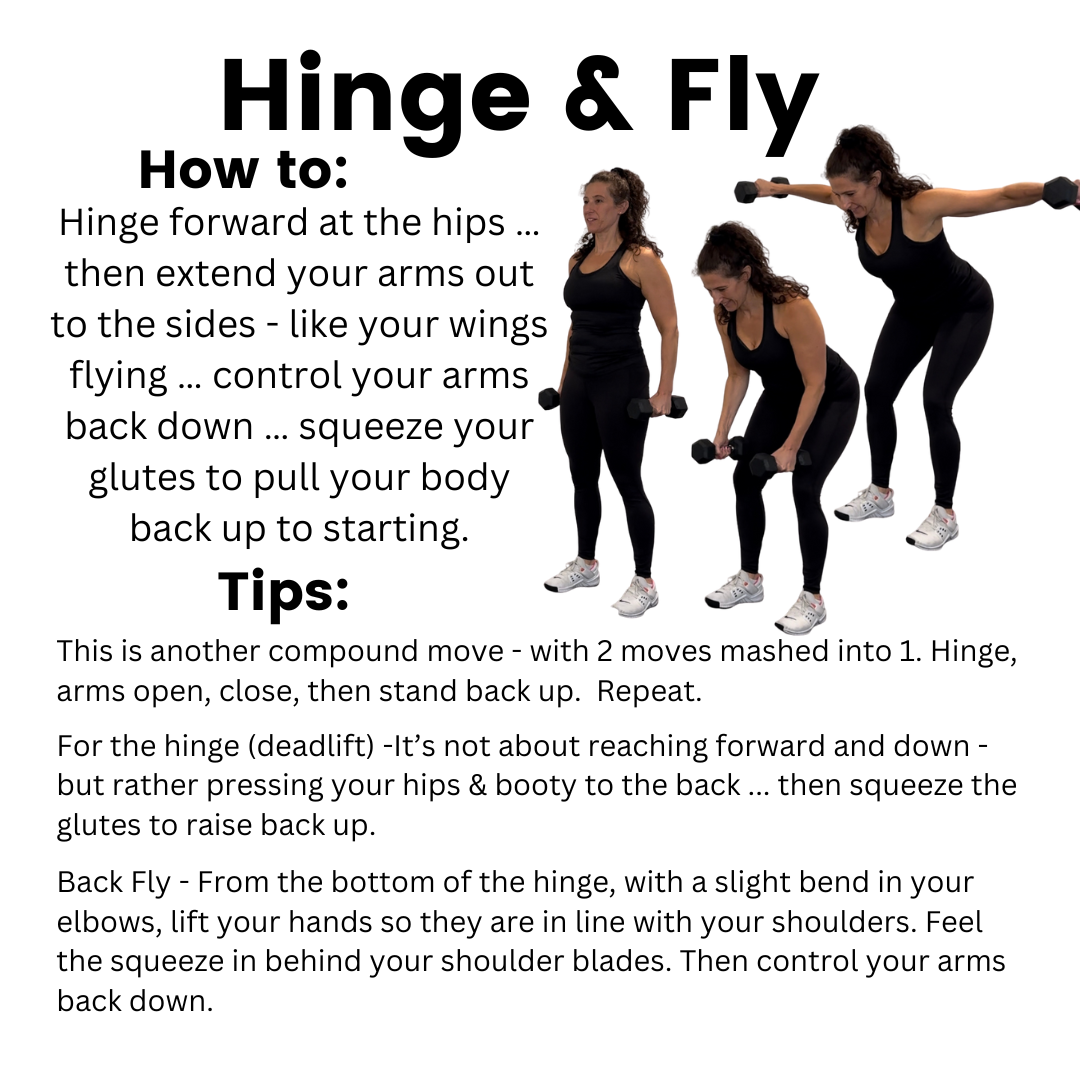 Hinge & Fly: Exercise Explainer