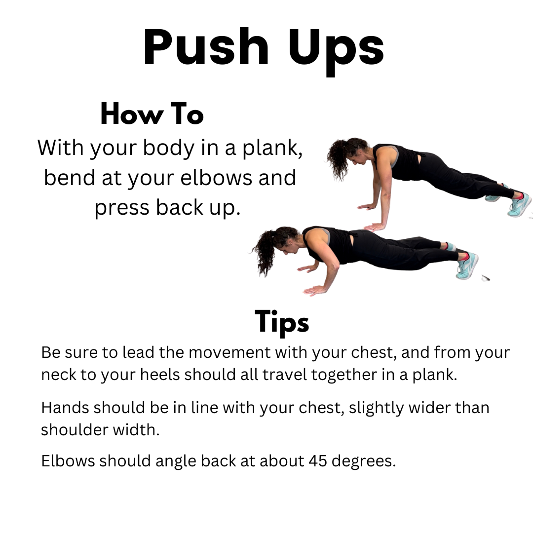 Push Ups Exercise Explainer 