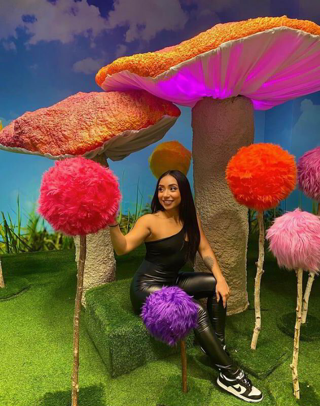 meet tfti a houston selfie museum