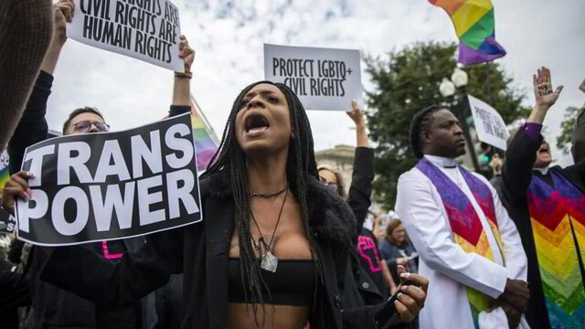 About BlackTransNation.org