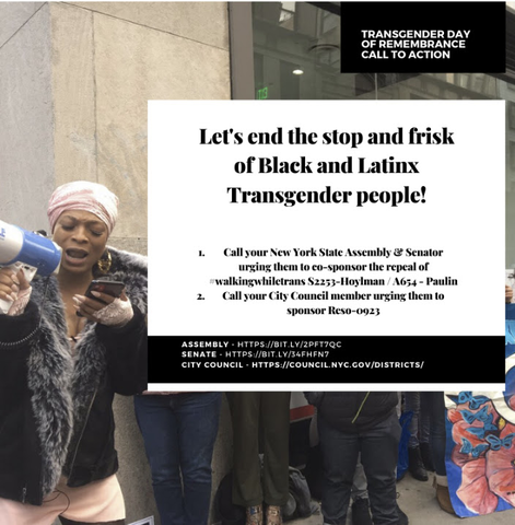 About BlackTransNation.org