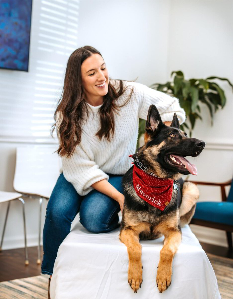 Animal Chiropractor Charlotte NC - Top Animal Chiropractic Care