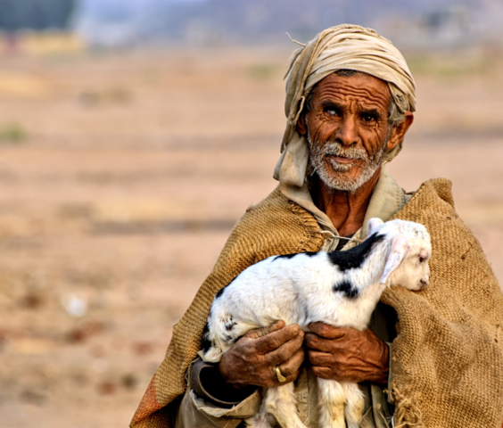 Parables of the Bible Index - Printables, Lessons & Activity Ideas for Kids