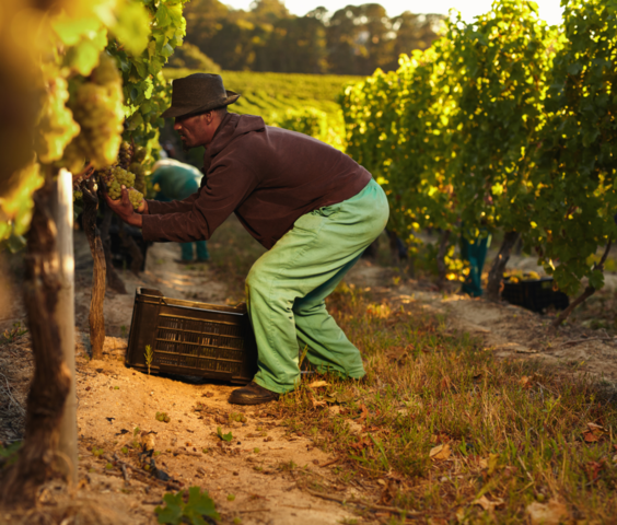 Parables of the Bible Index - Printables, Lessons & Activity Ideas for Kids