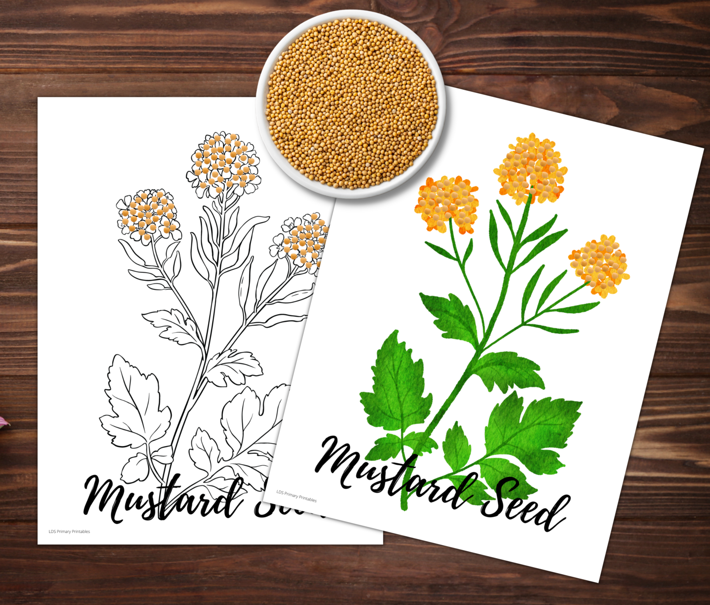 Parable of the Mustard Seed & Leaven Bible Parable Lessons for Kids