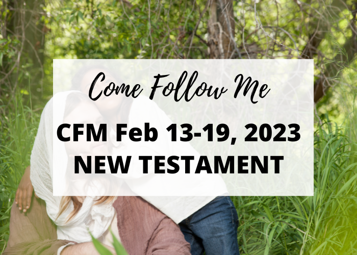 Come Follow Me Families & Primary February 13-19 Lesson Ideas