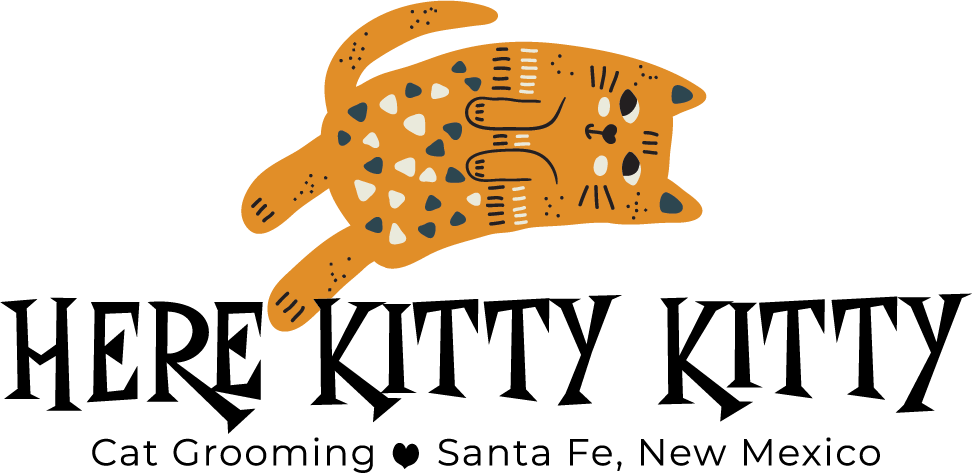 Here Kitty Kitty Premium Cat Grooming in Santa Fe New Mexico