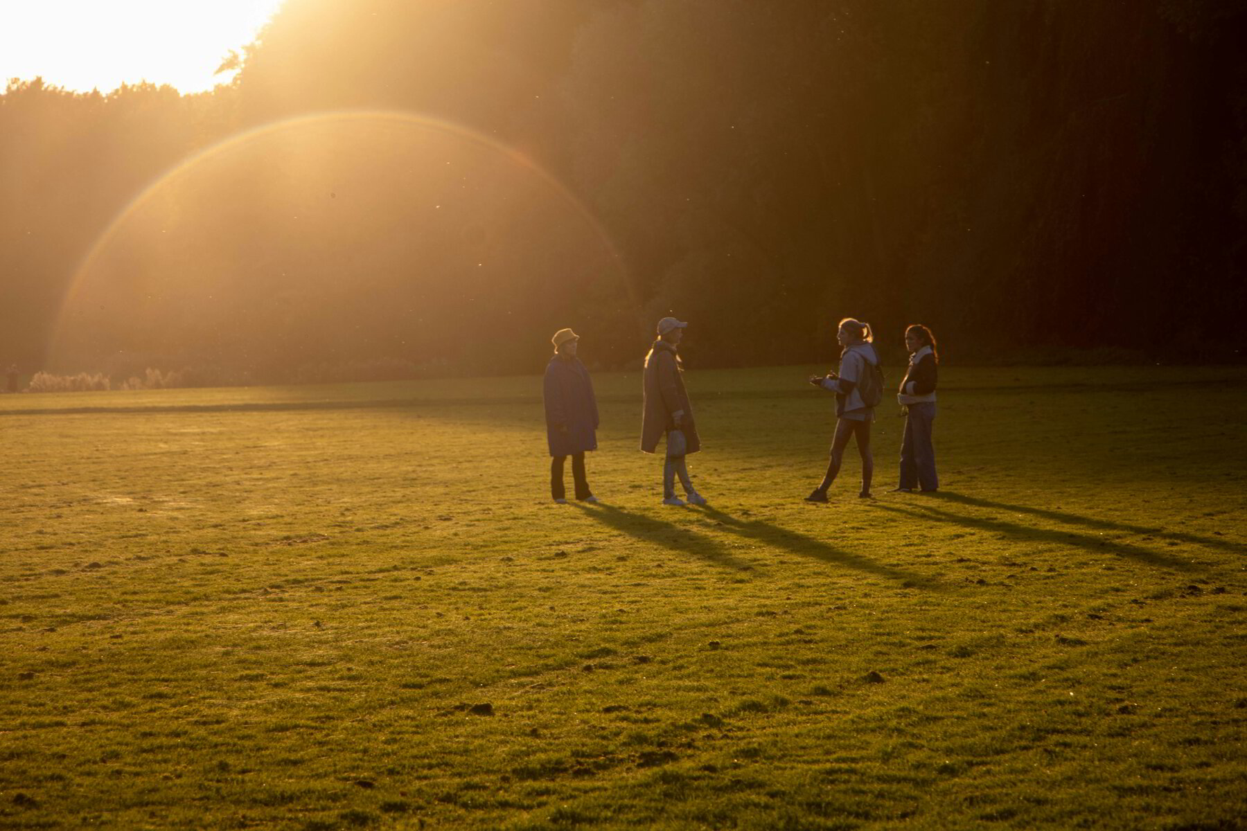Safety and Autonomy: How We Create Boundaries Without Control