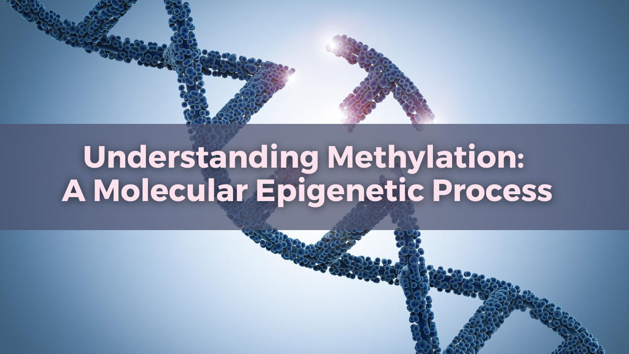 Understanding Methylation: A Molecular Epigenetic Process