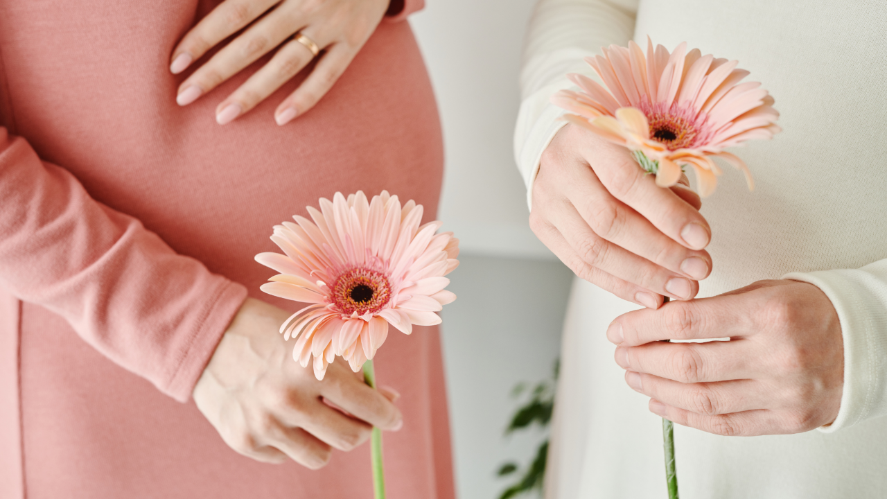 The Roles of Progesterone in the Body