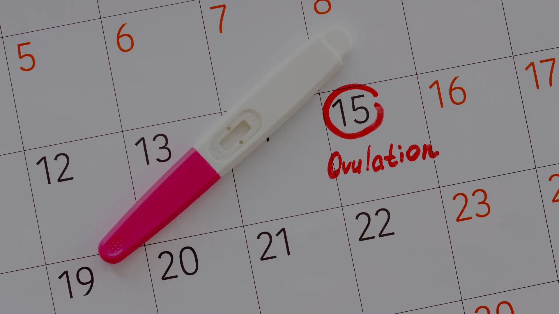 The Ultimate Guide to Regular Ovulation: Natural Methods That Actually Work