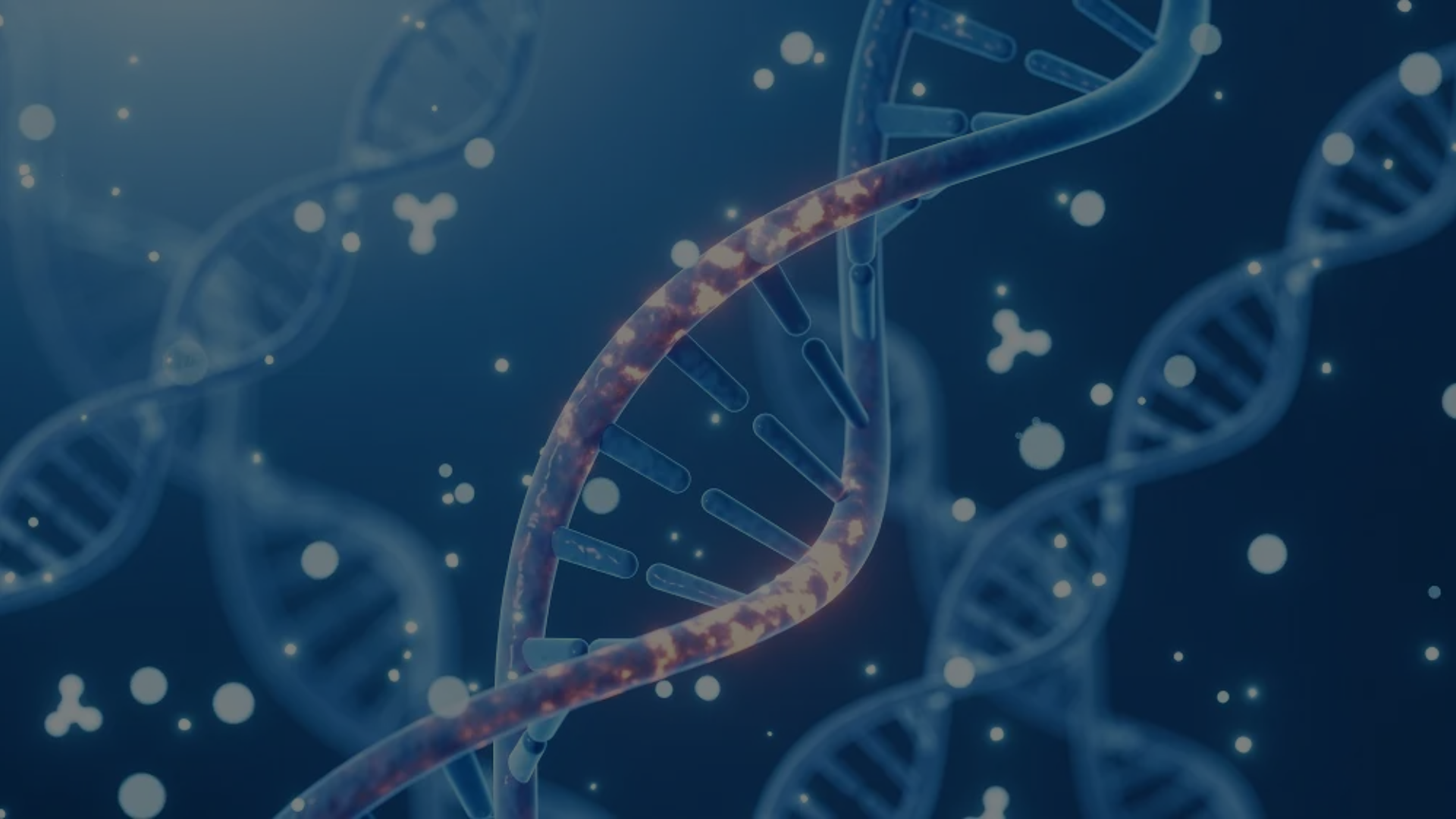 How Epigenetic Changes Impact Fertility: Understanding the Connection