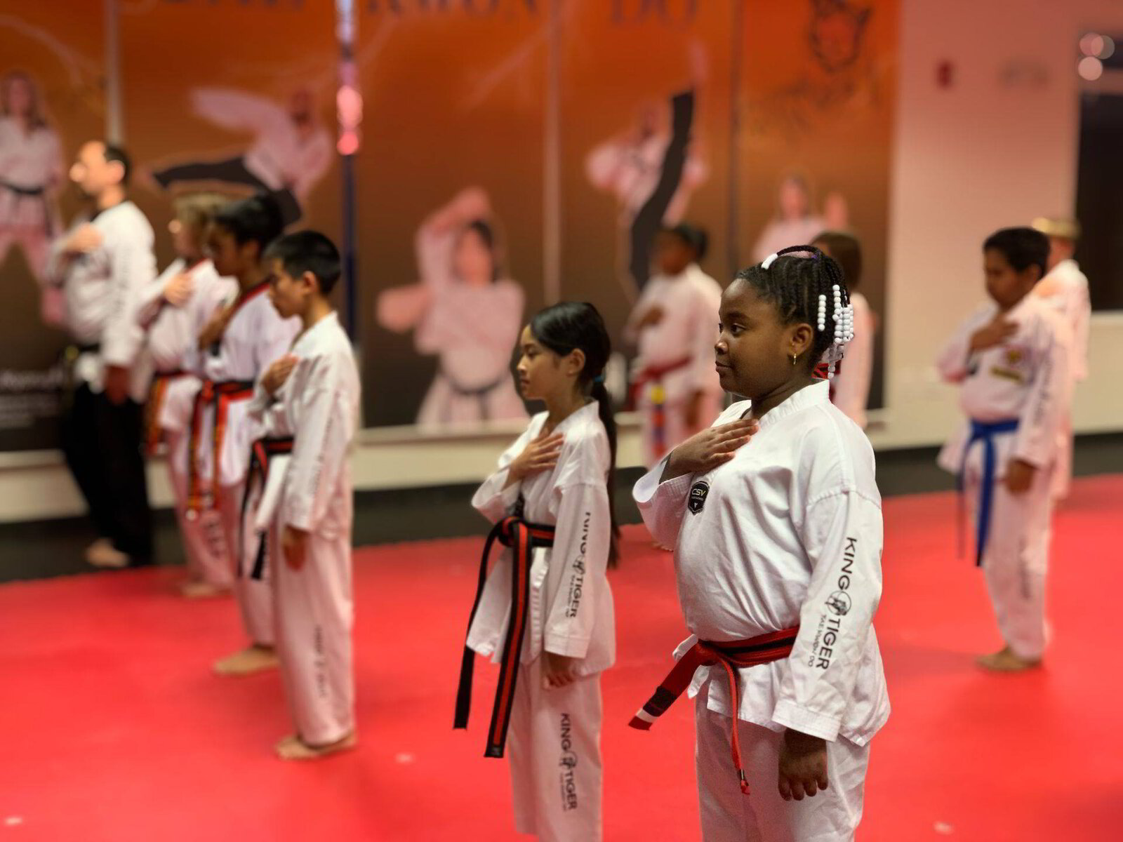 King Tiger TaeKwonDo of Harrisburg | Harrisburg Martial Arts & Fitness