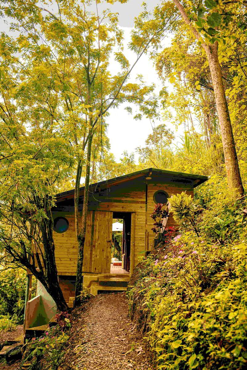 Cabañas Monte Cedro