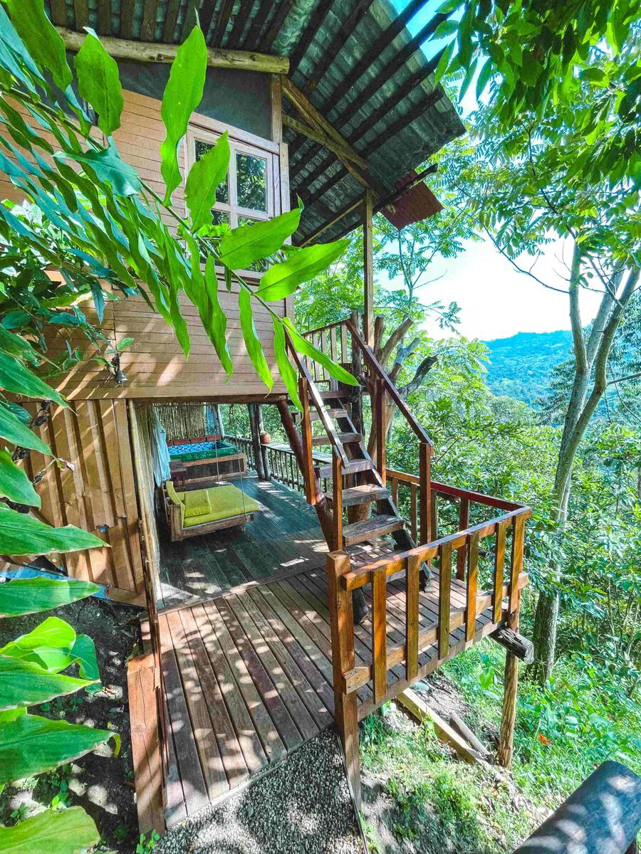 Cabañas Monte Cedro