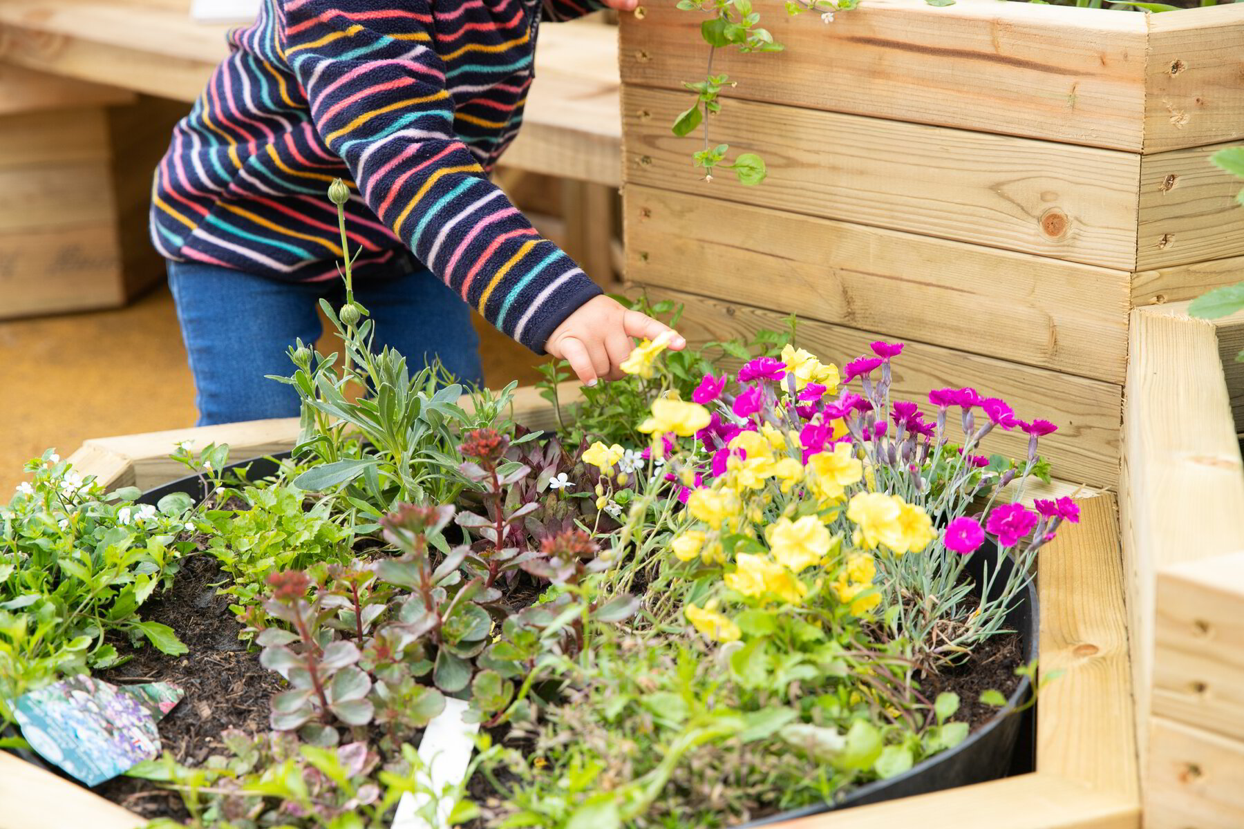 Our Approach - Key Steps Day Nursery