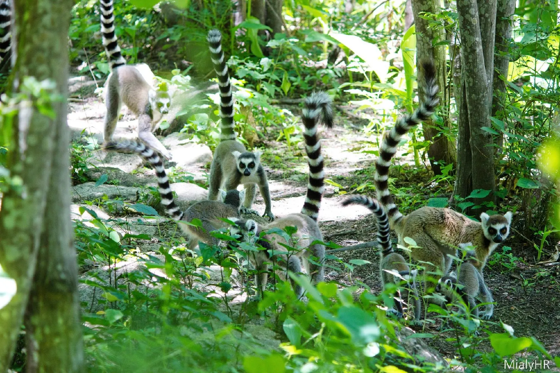 Anja Community Reserve