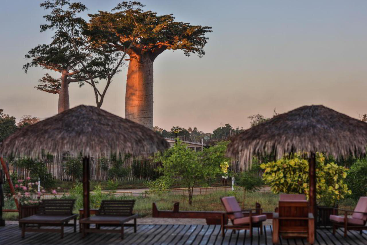 Madagascar Private & Group Tours from €1,488 | Local Tour Operator