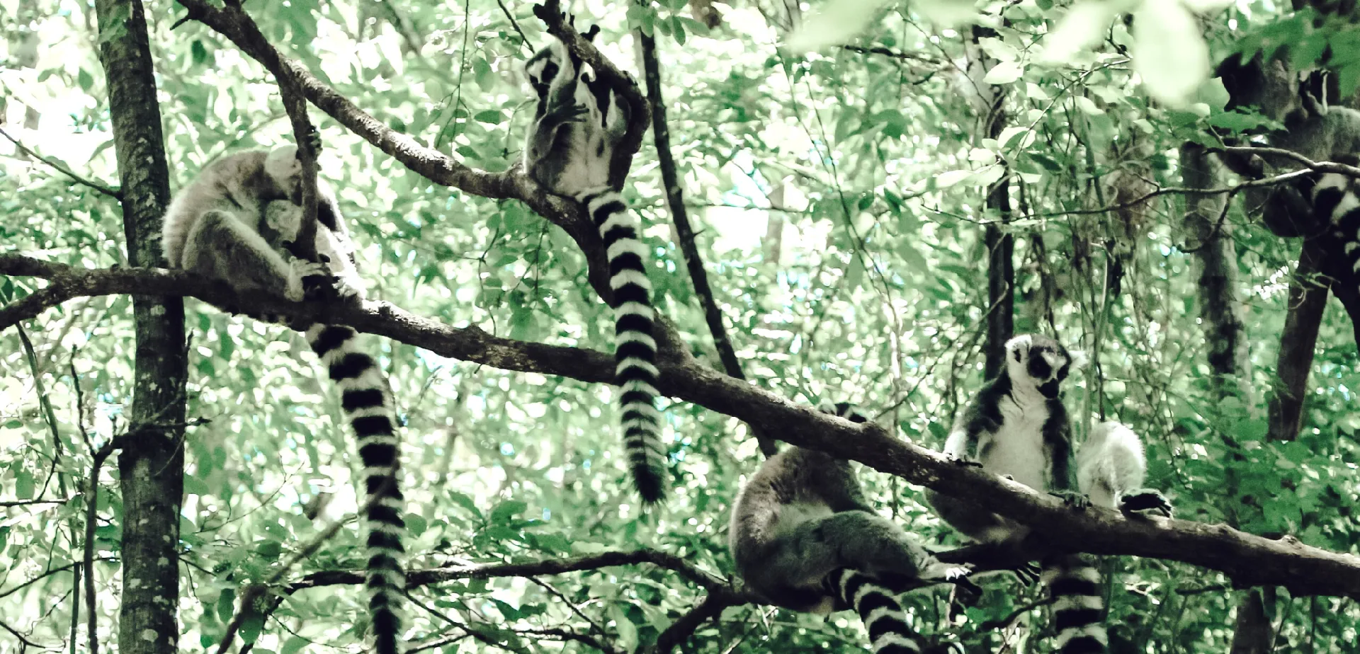 Anja Community Reserve