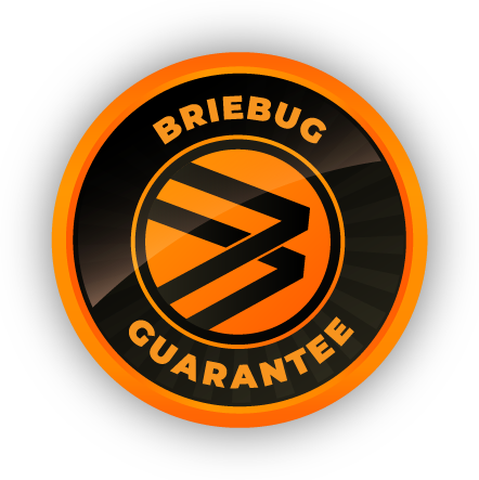 The Briebug Guarantee | Briebug for Enterprise