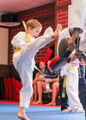Home - North York TKD