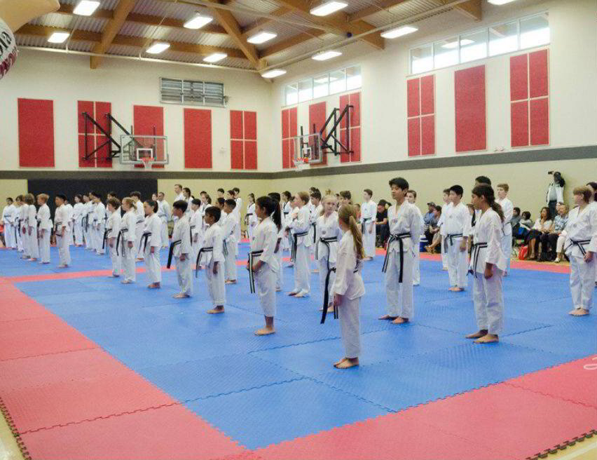 Programs - North York TKD