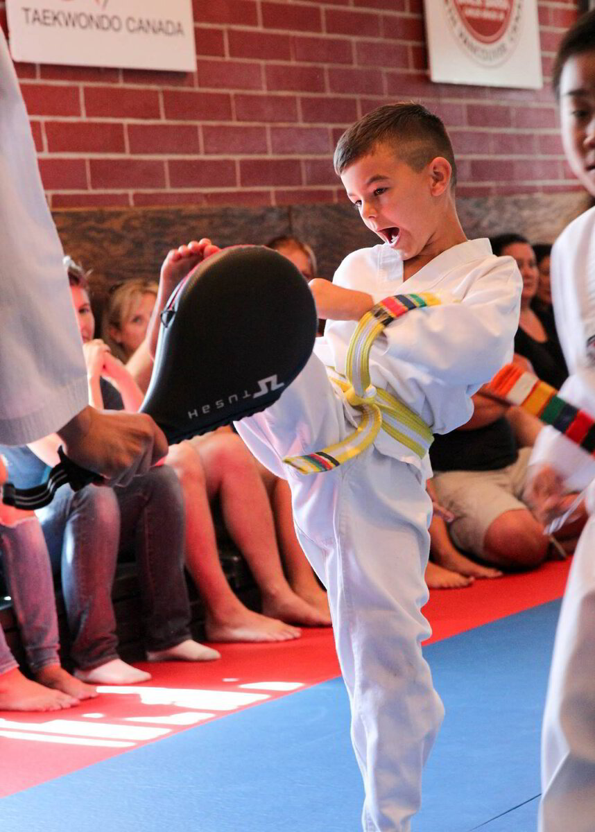 Programs - North York TKD