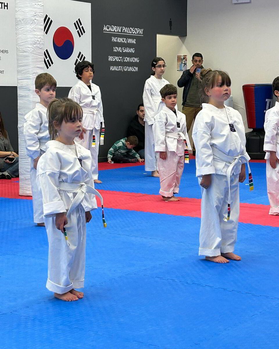 Programs - North York TKD
