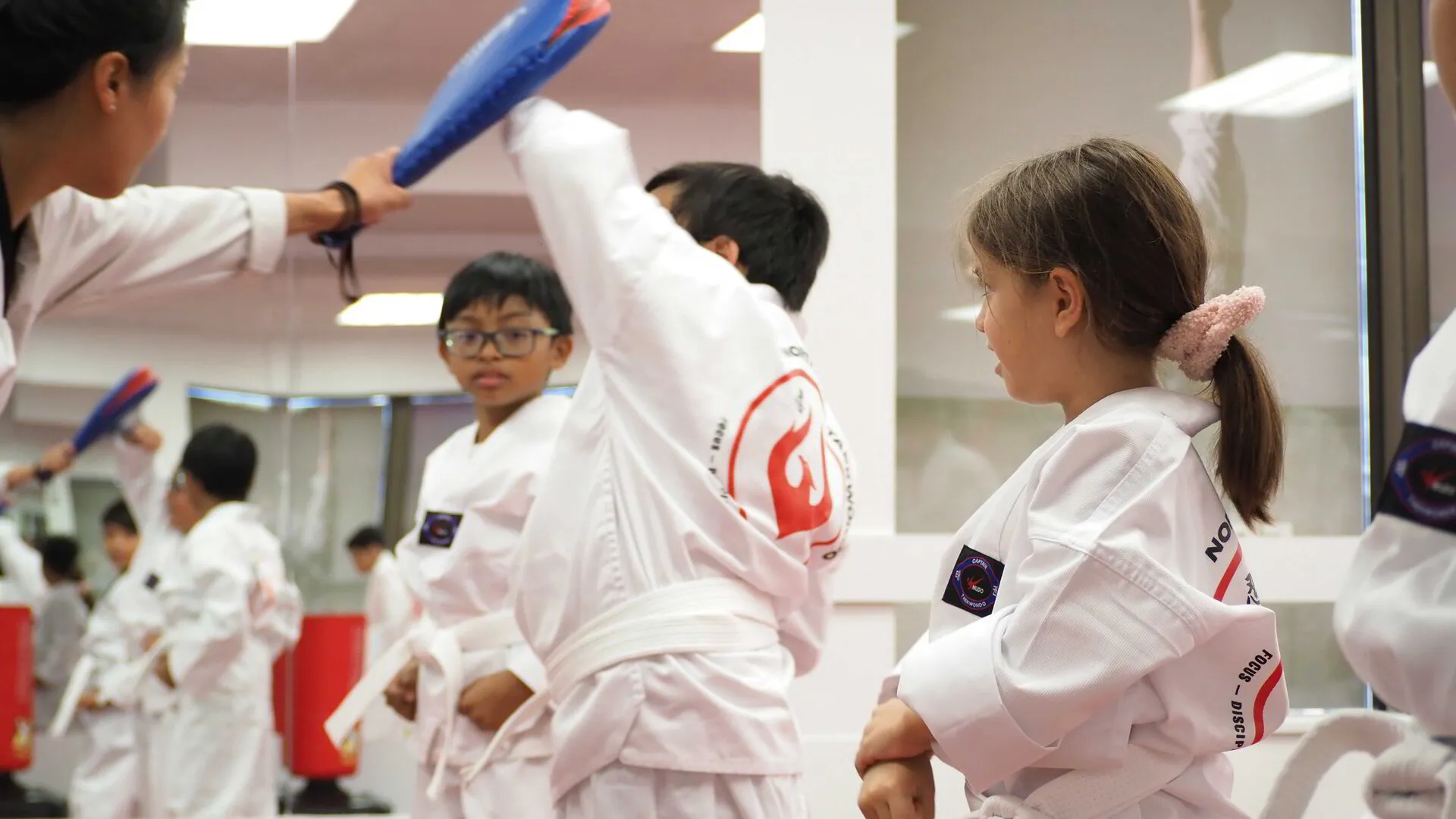 Private Martial Arts Training - North York TKD