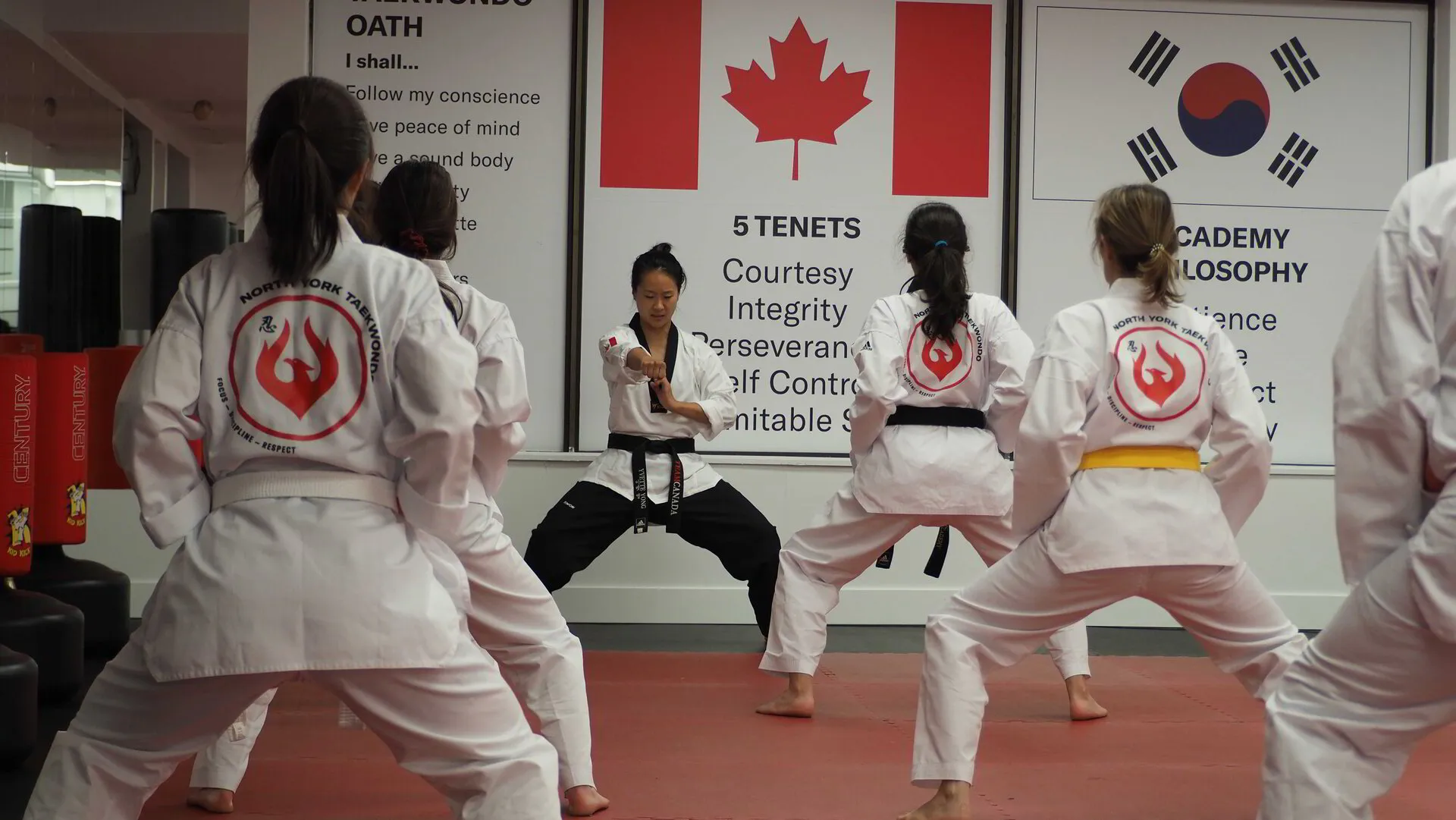 Teens & Adults - North York TKD
