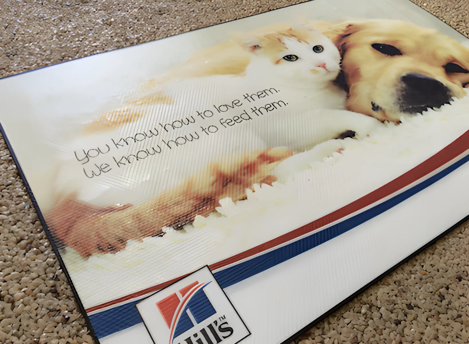 Branded Logo Mats: A Practical Guide for South African Businesses