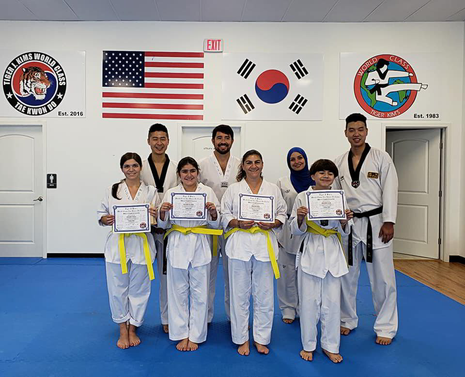 Tiger J Kim’s World Class Taekwondo adults martial arts classes