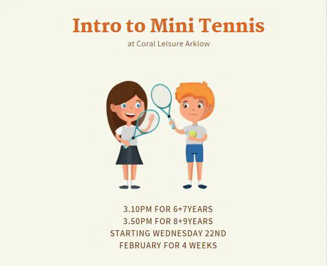 Wicklow Sports and Recreation Partnership are offering “Intro to Mini ...