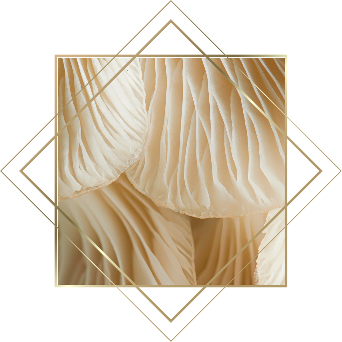 My Strong World Mini Retreat