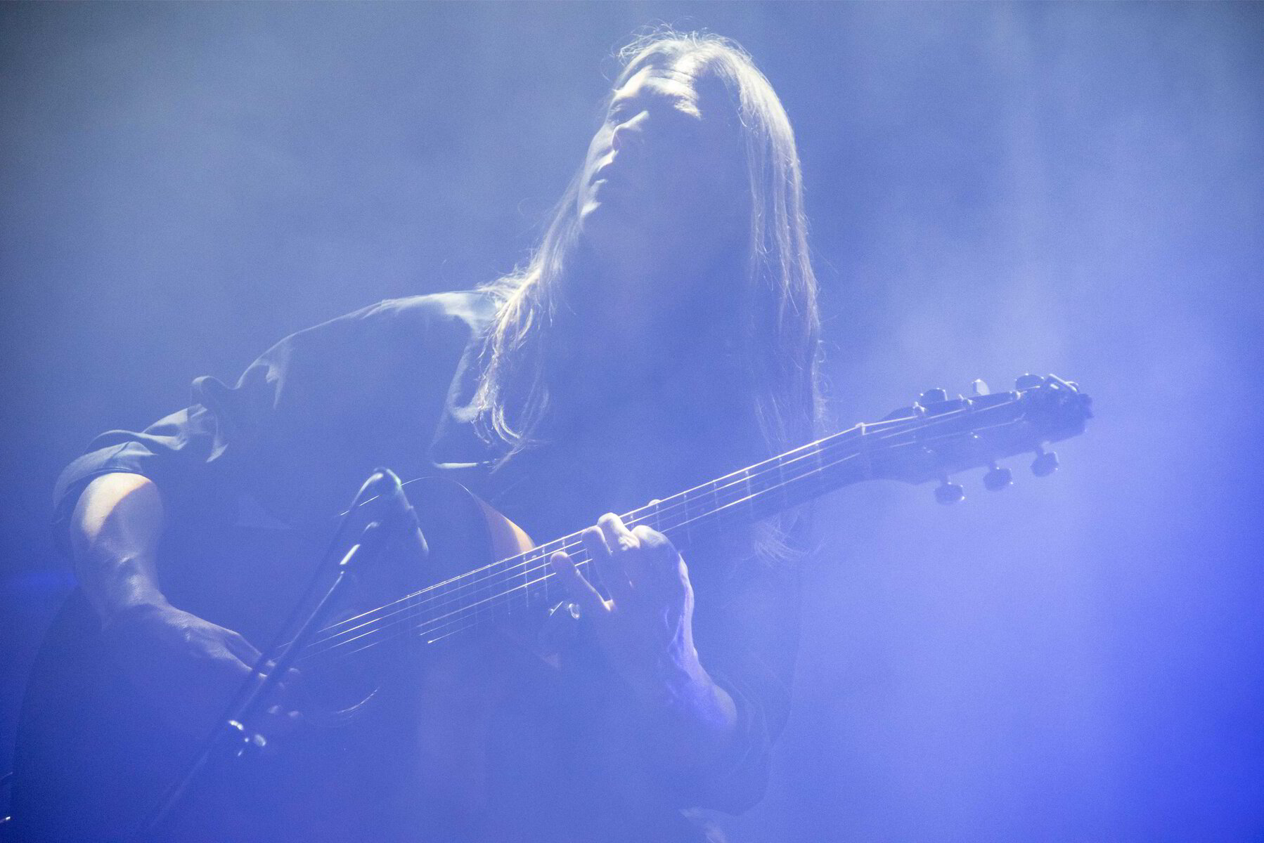 The Official Site of the Artist Michael Krumins