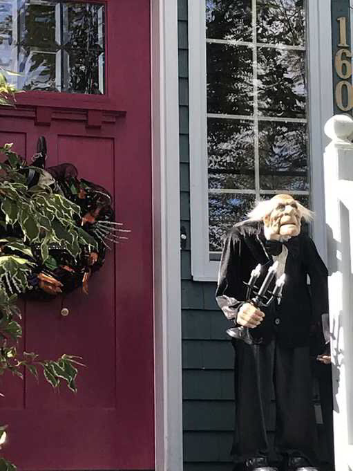 Cozy music and spooky fun!