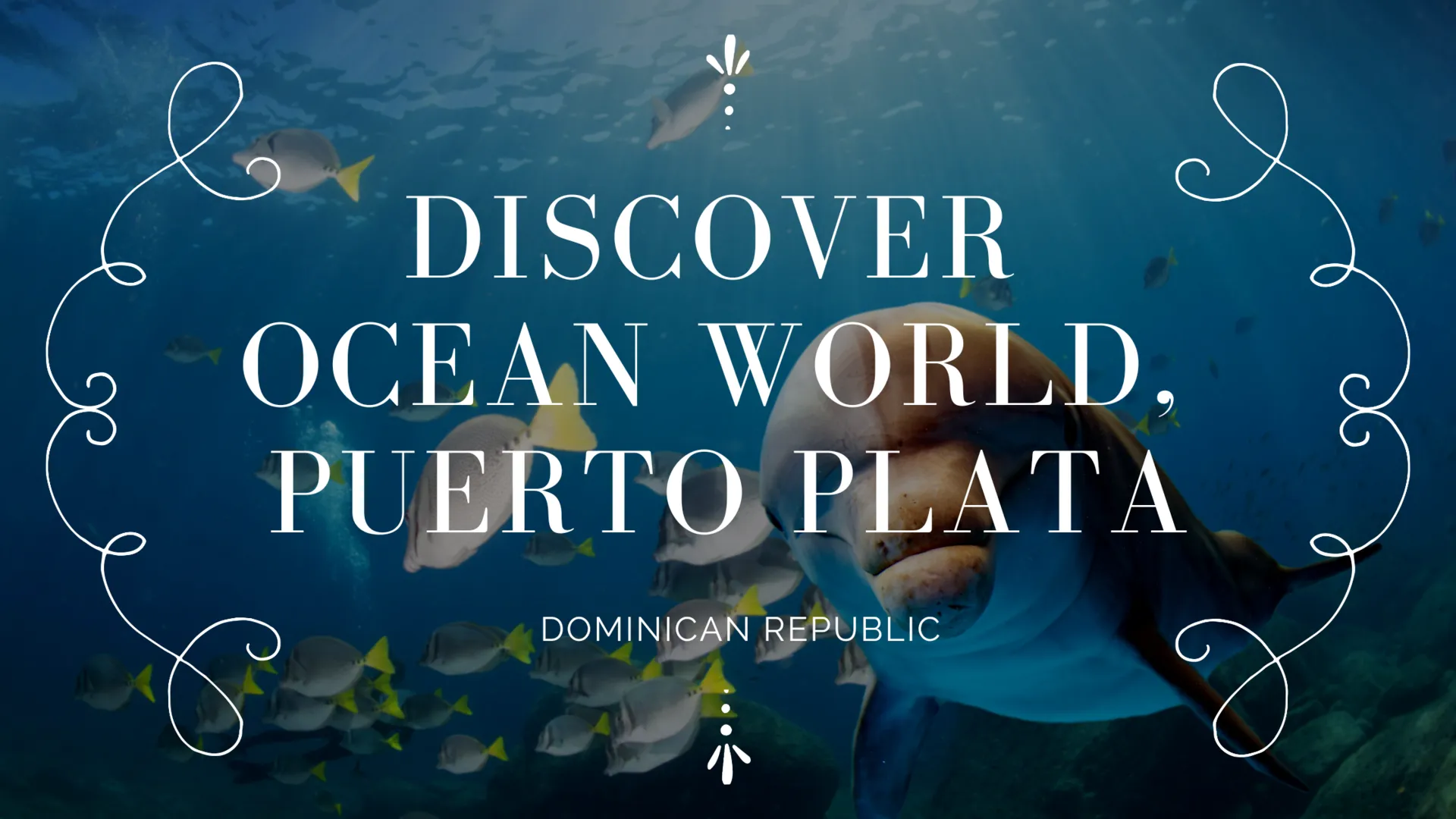 Discover Ocean World, Puerto Plata, Dominican Republic!