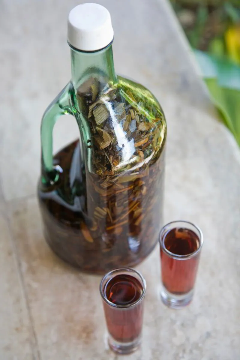 Fall Vibes and Mamajuana: Savoring the Season in the Dominican Republic 🍂🍹