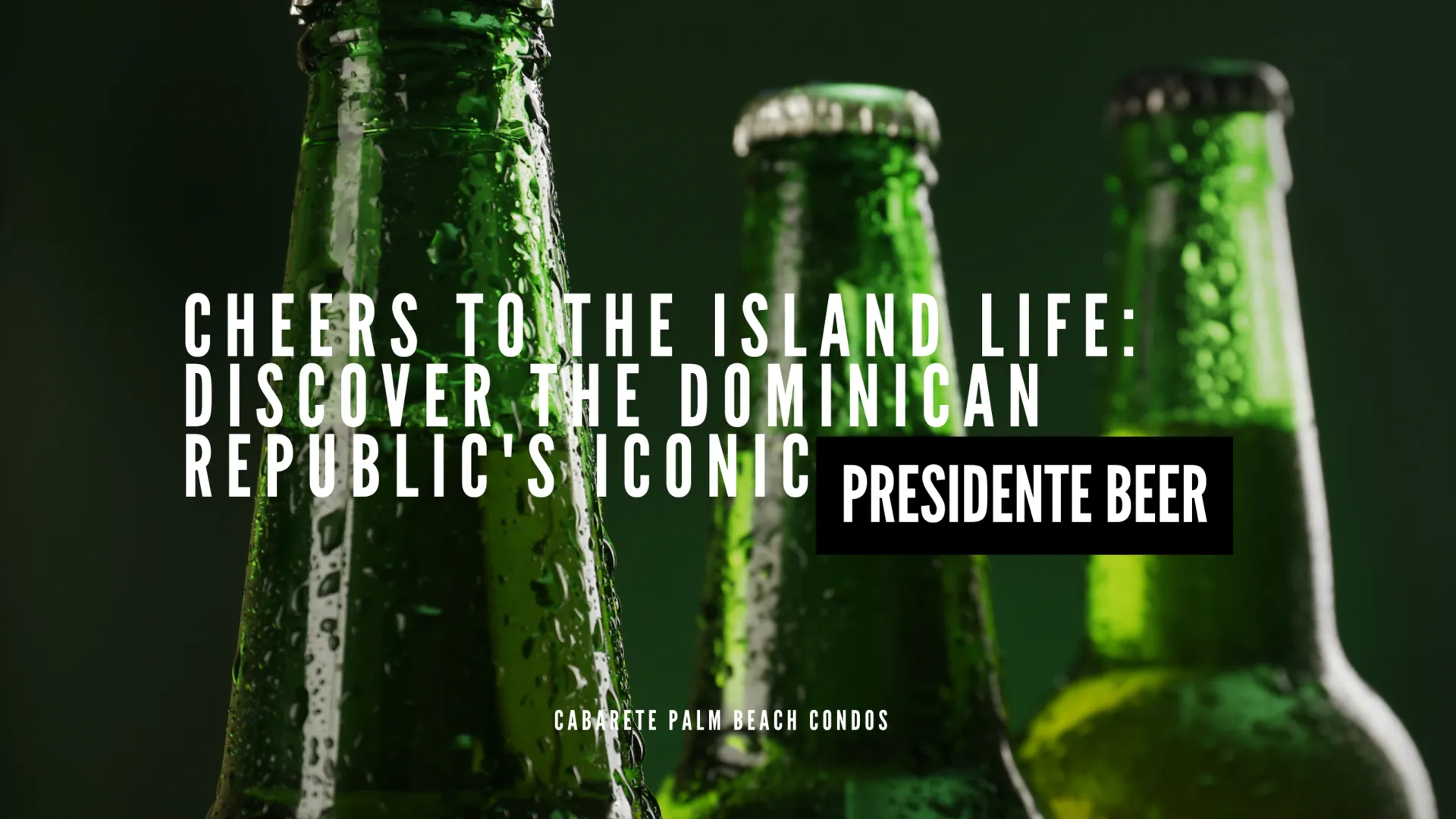 Cheers to the Island Life: Discover the Dominican Republic's Iconic ...